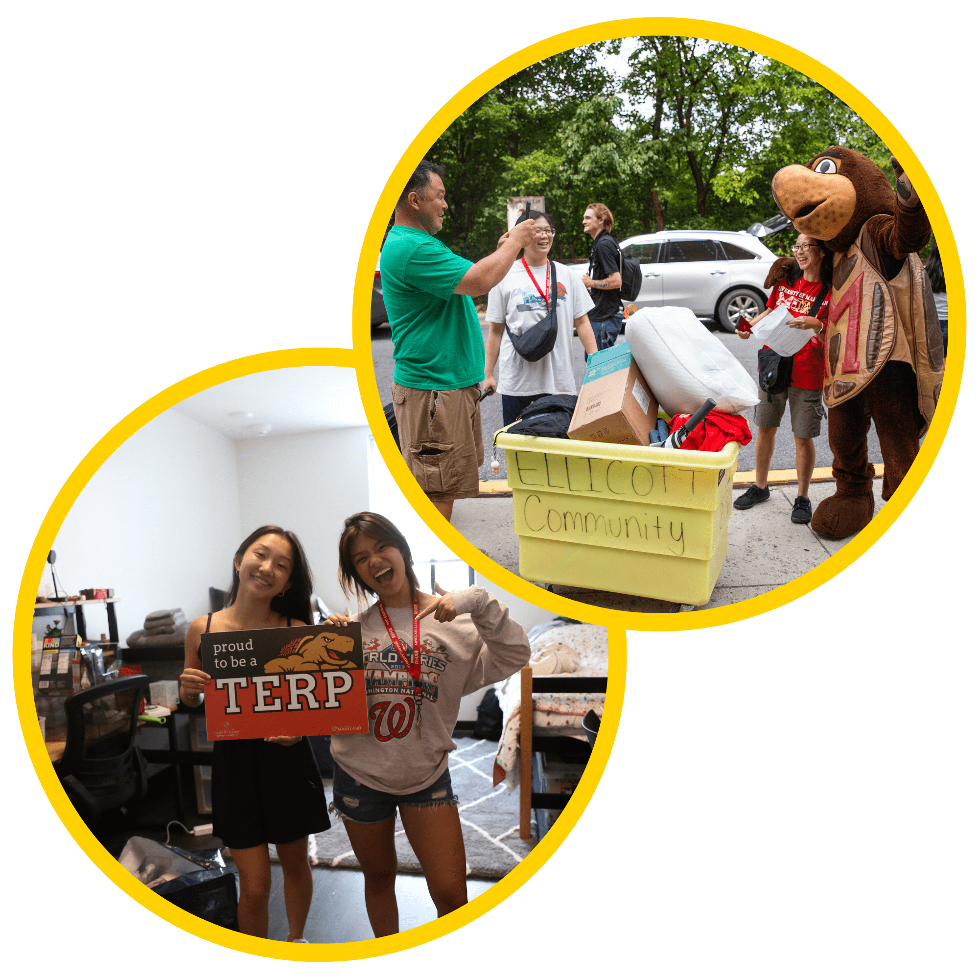 Move-In Day | Department of Resident Life